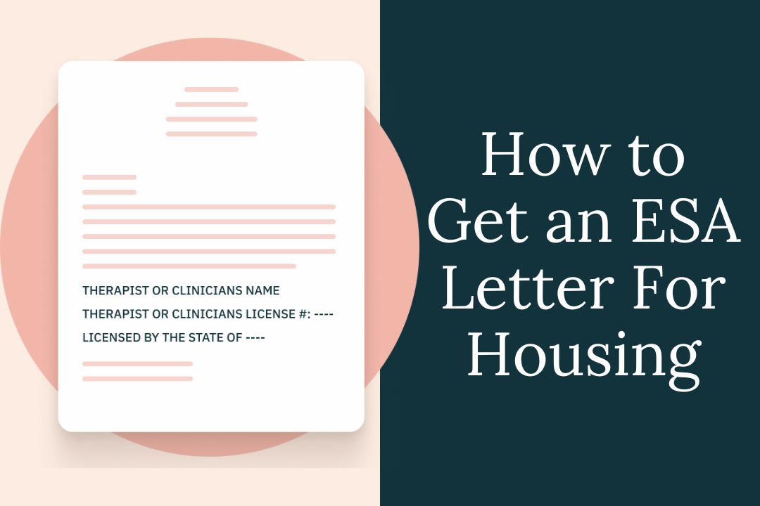 ESA Letters For Your Pet – Fast, Easy & Legitimate | Pettable